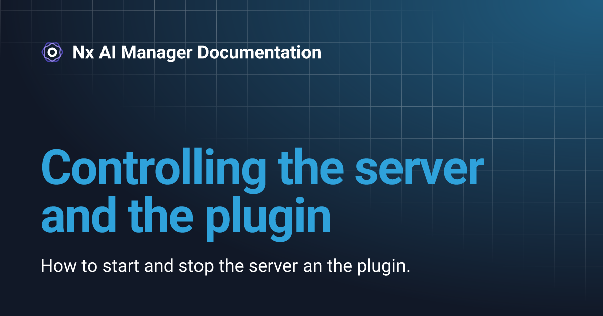 Controlling the server and the plugin | Nx AI Manager Documentation